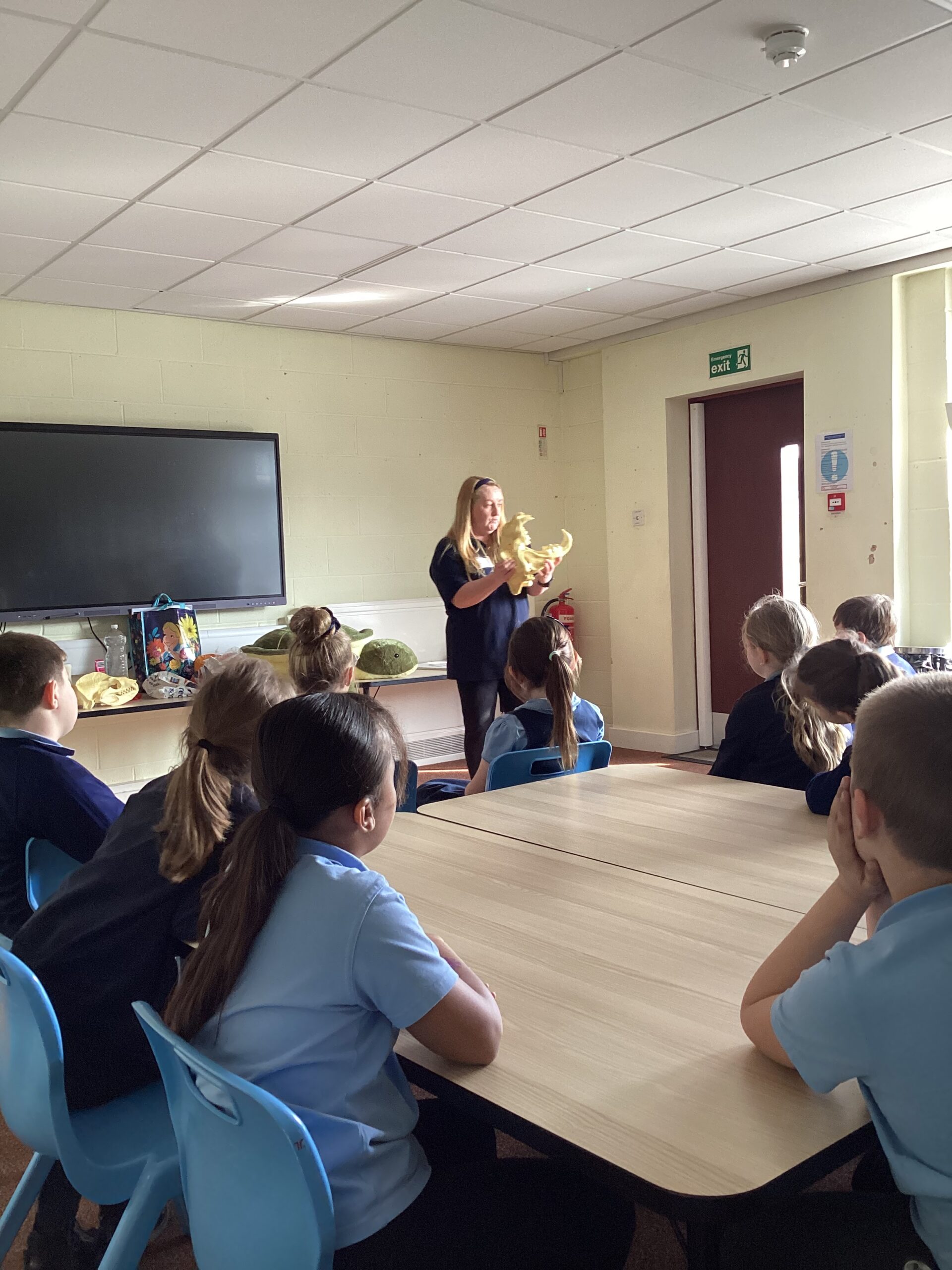 Home - Stockton Wood Primary School