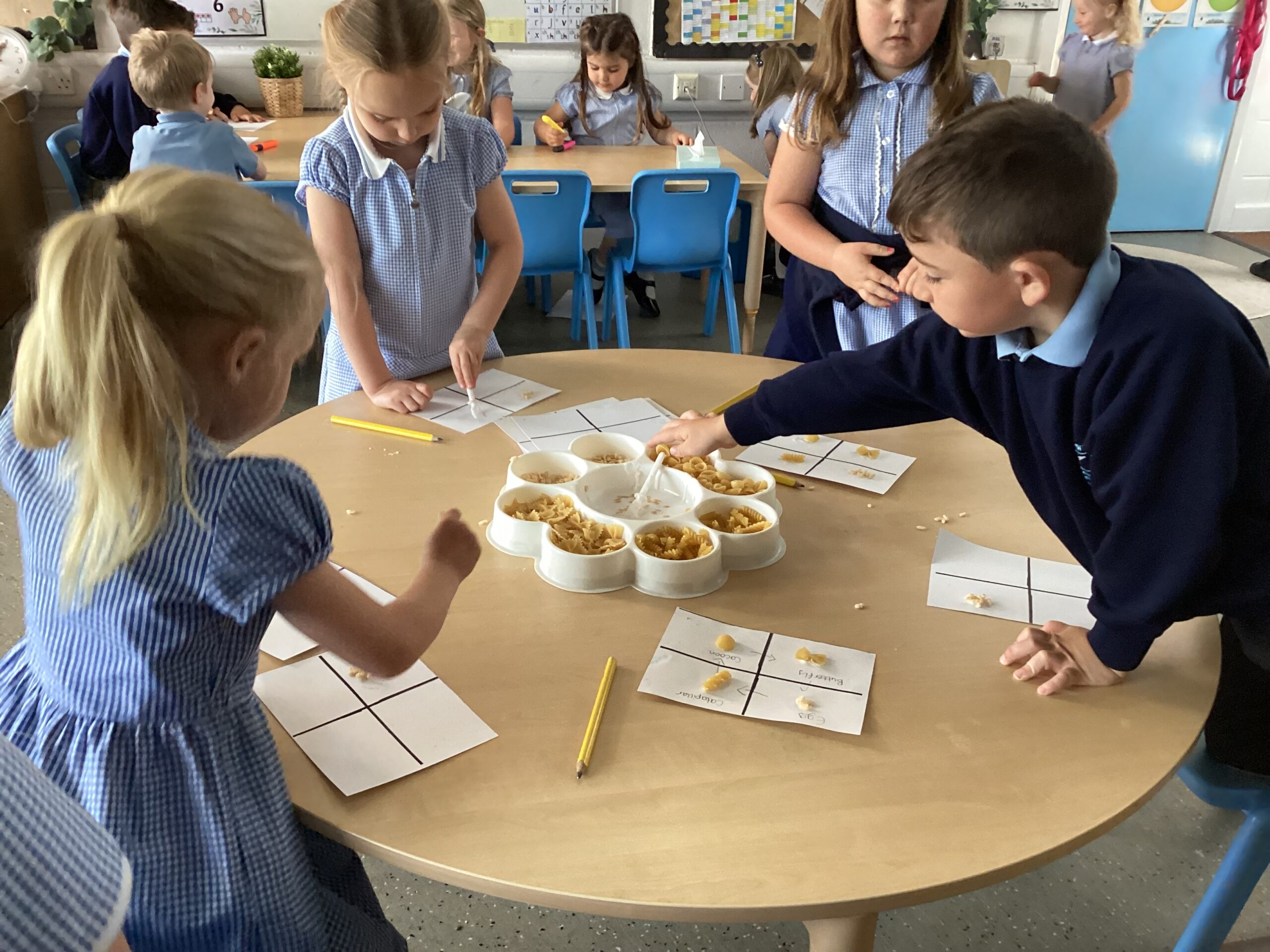 The life cycle of a butterfly 曆 - Stockton Wood Primary School