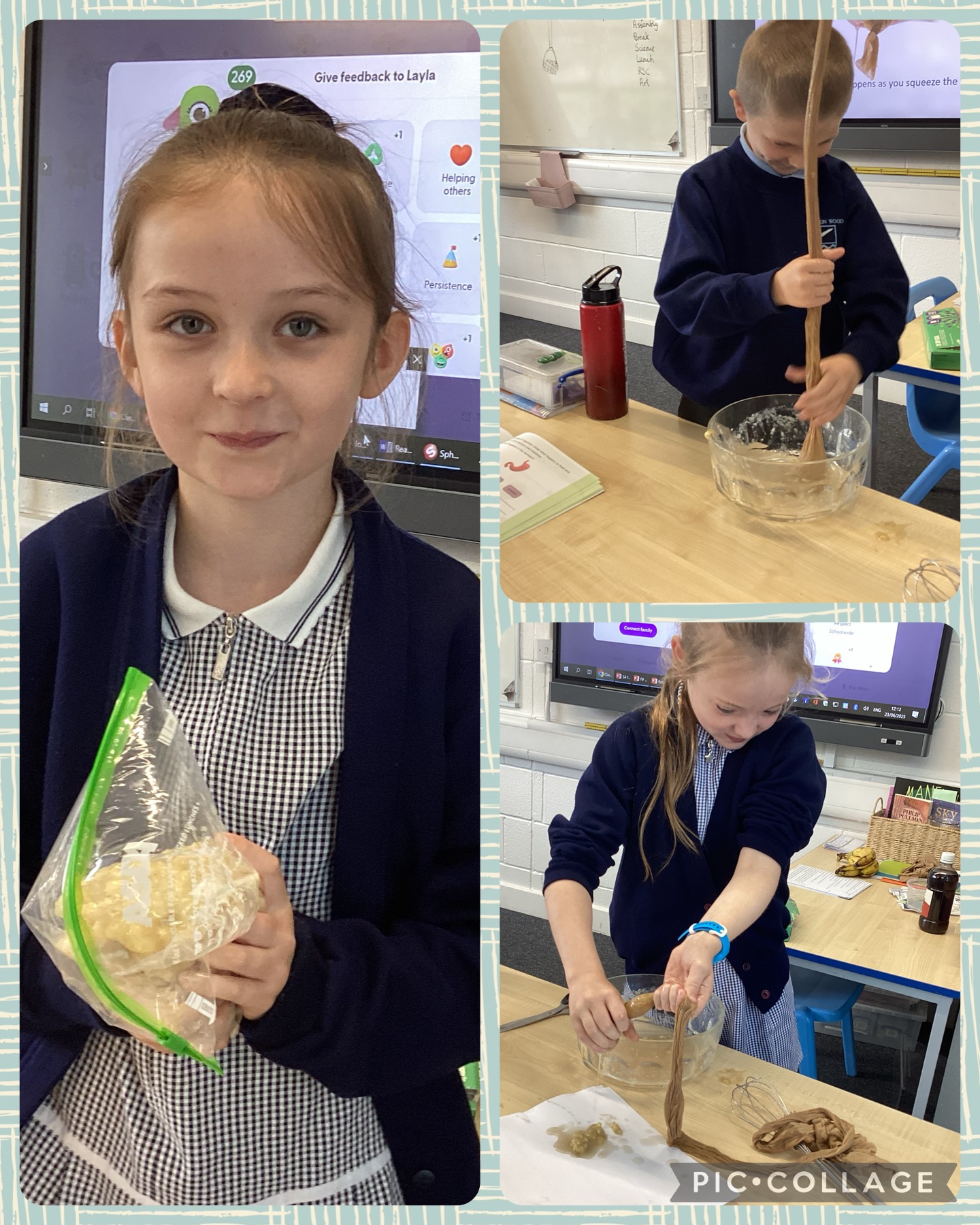 Digestive System - Stockton Wood Primary School