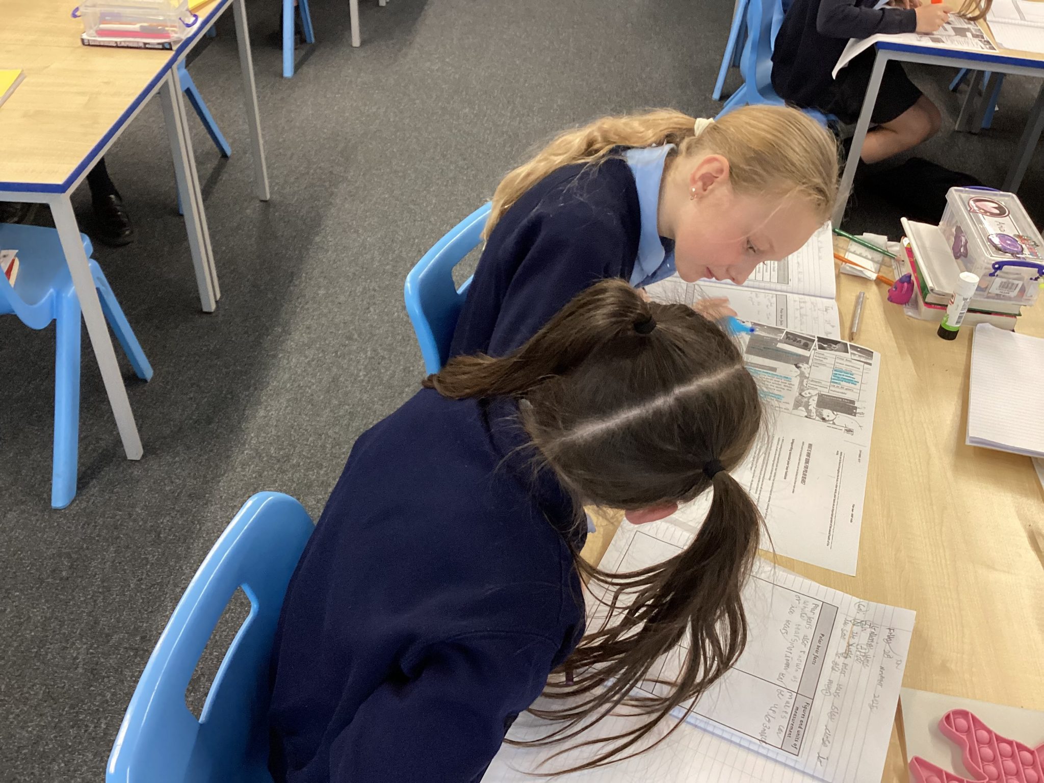 Researching Arctic Mammals - Stockton Wood Primary School