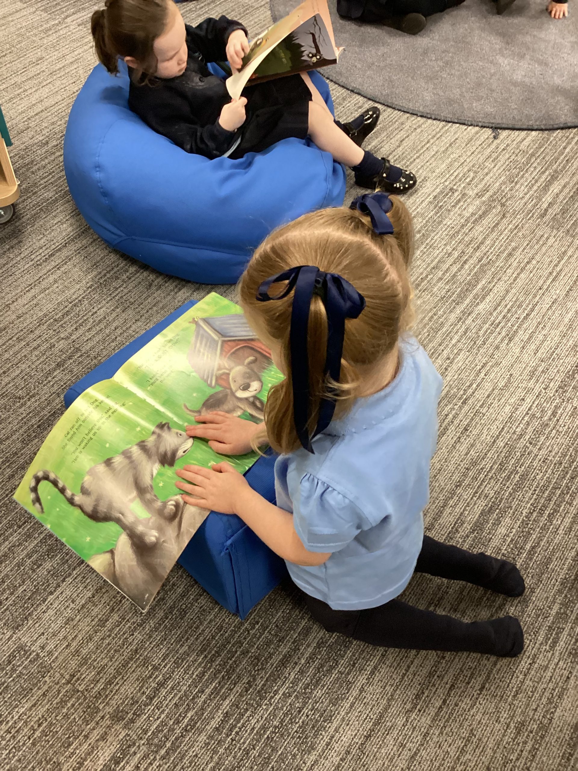 Library Visit - Stockton Wood Primary School